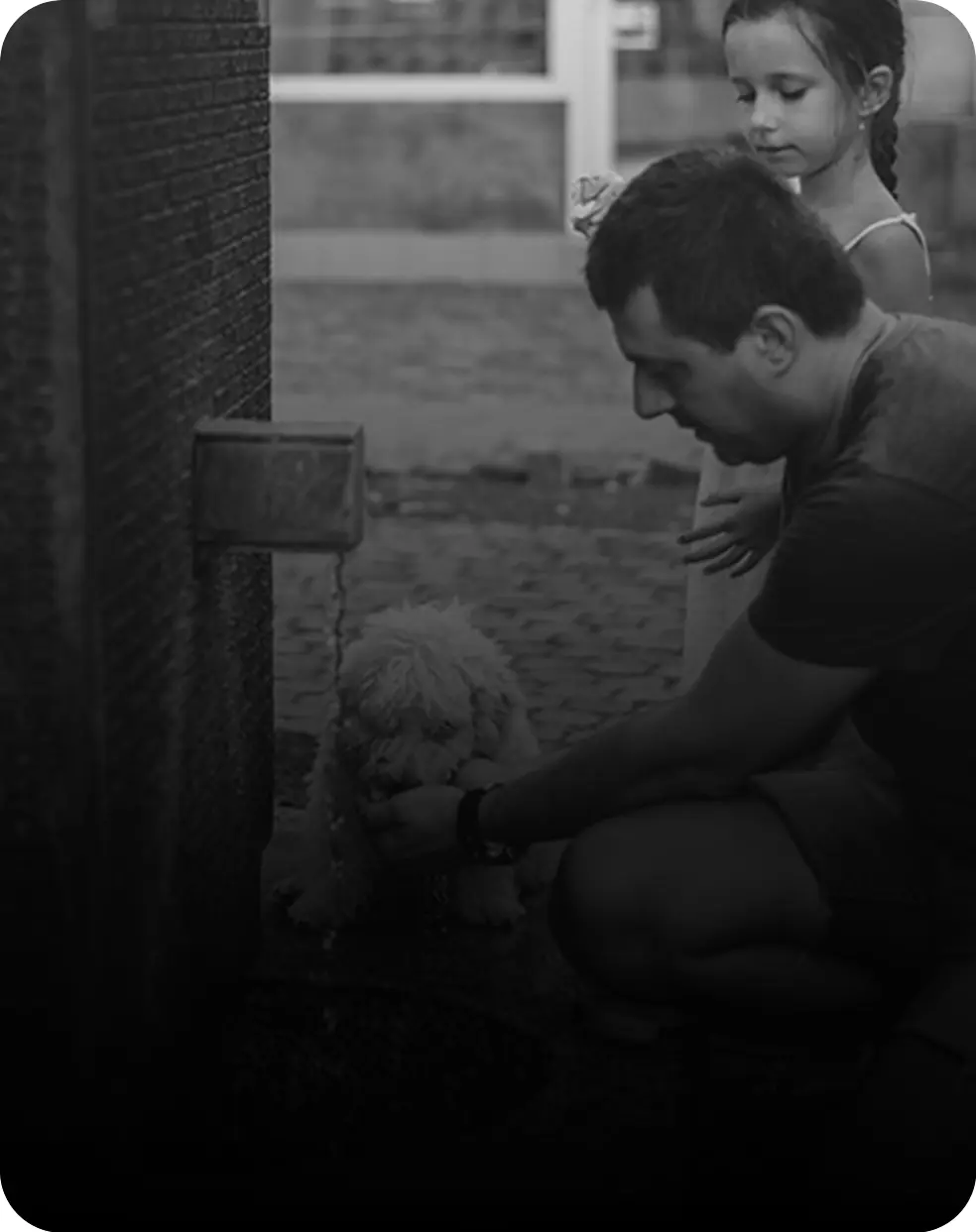 Make a Difference in a puppycity Puppy's Life